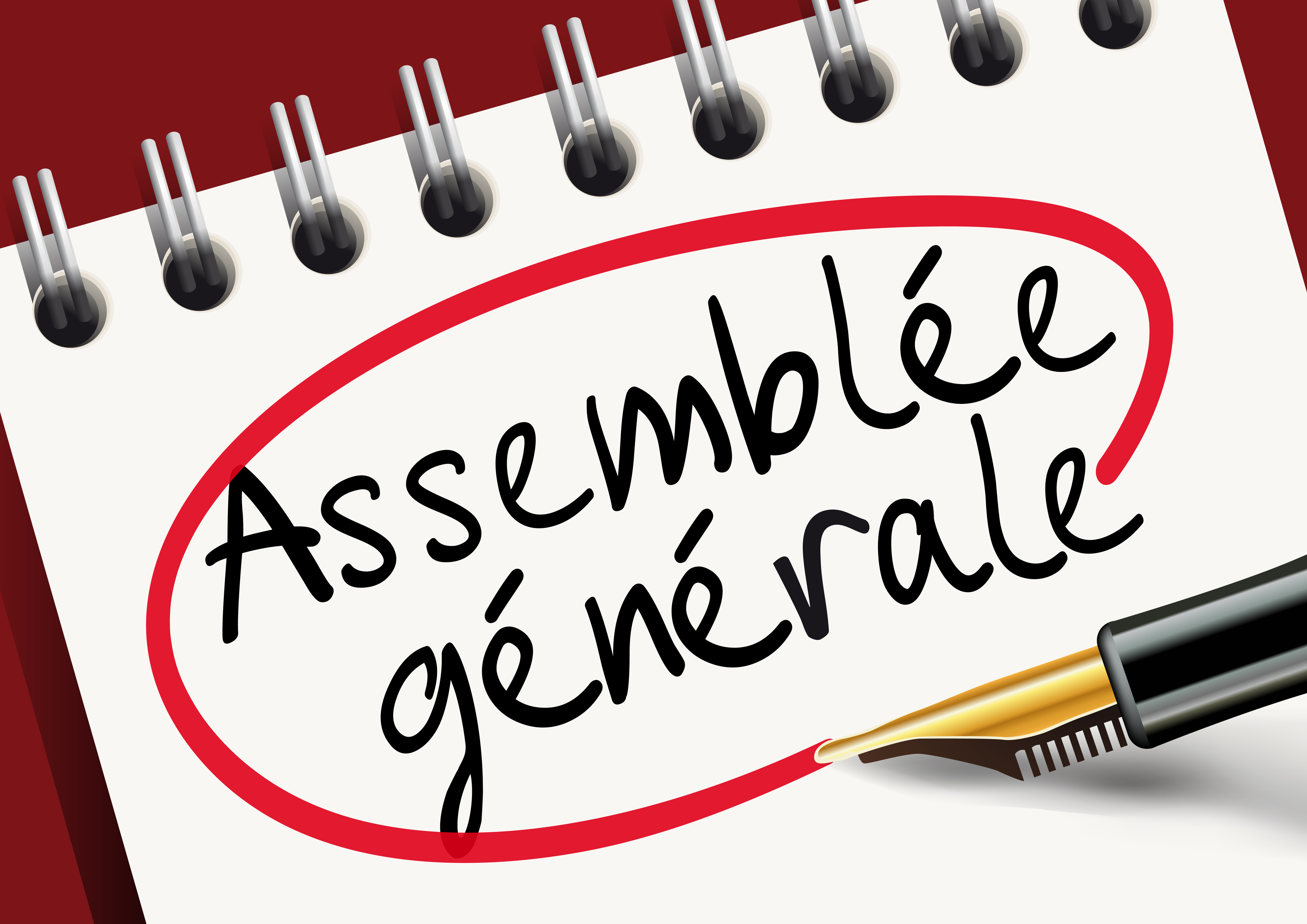 Le copropriétaire dans l'organisation de l'assemblée générale